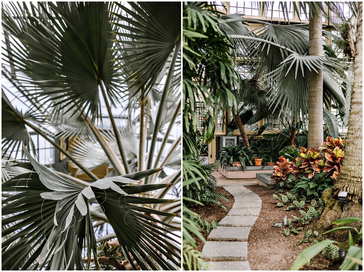 rawlings conservatory and botanic gardens | unique baltimore wedding ...